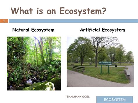ppt on ecosystem pptx