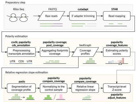 A Conceptual Overview Of The Protocol Download Scientific Diagram