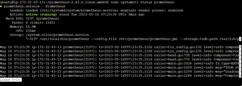 How To Install Prometheus On Ubuntu 2204 Cherry Servers
