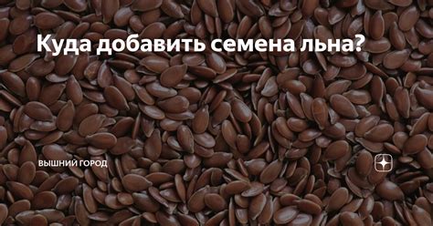 Куда добавить семена льна ВЫШНИЙ ГОРОД Дзен