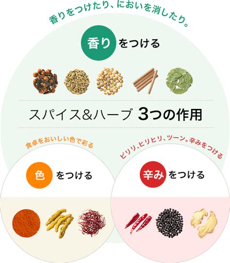 スパイス＆ハーブの使い方のコツ！｜レシピ｜エスビー食品株式会社