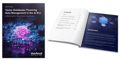 Vector Databases Innovating Data Management In The Ai Era Datavail