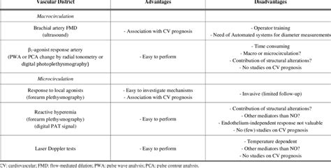 Advantages And Disadvantages Of Main Techniques For Non Invasive Download Table