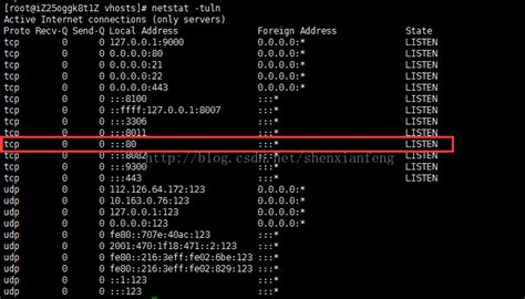 Linux下ipv6配置系列三：如何为nginx配置ipv6端口监听linux Nginx如何修改默认端口号并开启ipv6监听 Csdn博客