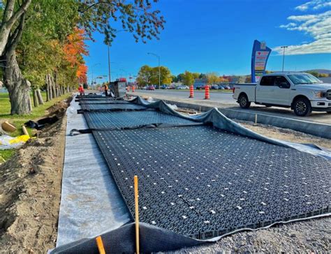 Permavoid Projects Poly Expert Distribution