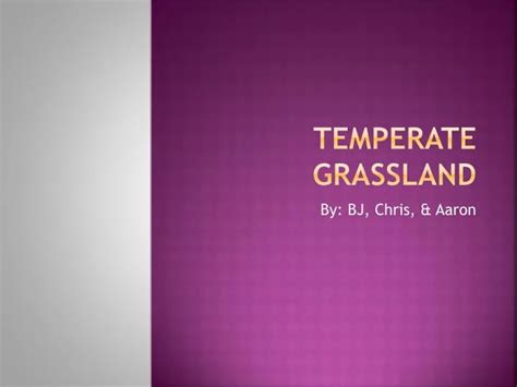 Ppt Temperate Grassland Powerpoint Presentation Free Download Id