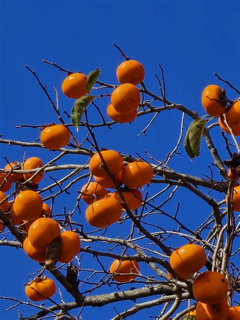 발렌타인데이 Diy 박스 만들기 사랑을 담은 특별한 선물