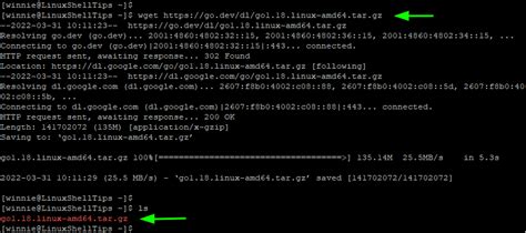 How To Download Files With Wget Command In Linux