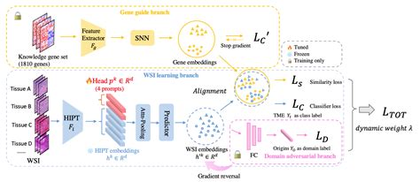 Deep Learning Based Prediction Of Breast Cancer Tumor And Immune Phenotypes From Histopathology
