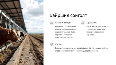 Хөдөө Хөдөө аж ахуйн төсөл болон судалгаа Утас 80123060