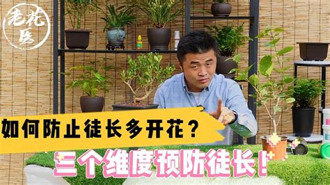 如何防止徒长多开花三个维度预防徒长养花巧妙小知识 YouTube