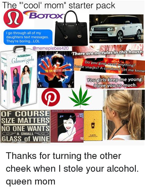 The Cool Mom Starter Pack Rstarterpacks
