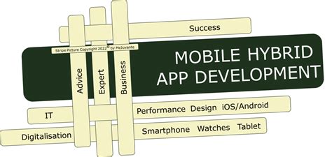 Mejuvante Mobile Hybrid App Development