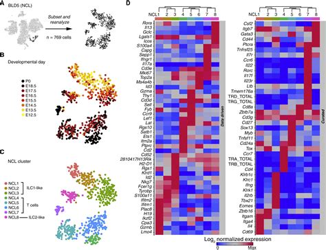 A Single Cell Transcriptomic Atlas Of Thymus Organogenesis Resolves Cell Types And Developmental