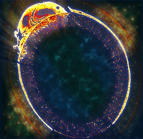 Integrated Omics Analysis For Small Molecule Mediated Host Microbiome Interactions Escience Center