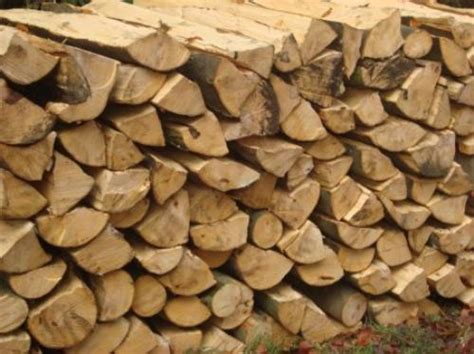 Кривична пријава за екс директор на Македонски шуми Јабланица Струга Ohridnews