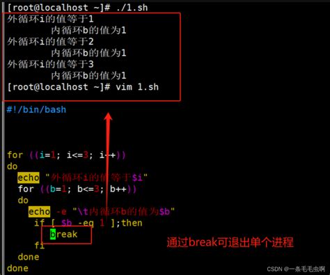 Shell编程之循环语句shell 无限循环 Csdn博客 Shell编程之循环语句shell 无限循环 Csdn博客