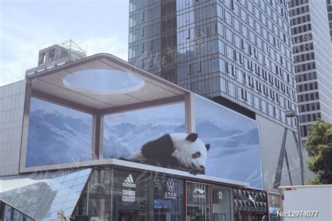 成都春熙路步行街裸眼3d大屏大熊猫高清图片下载红动中国