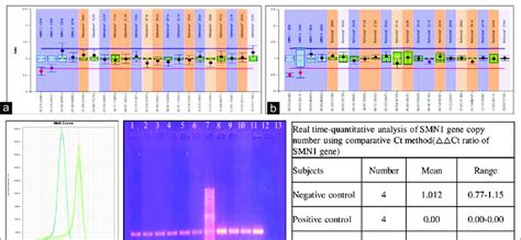 A And B Representative Mlpa Ratio Charts Showing Heterozygous