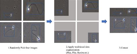 Figure 3 From Real Time Sperm Detection Using Lightweight YOLOv5 Semantic Scholar