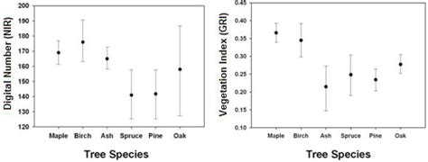 Remote Sensing Free Full Text Individual Urban Tree Species