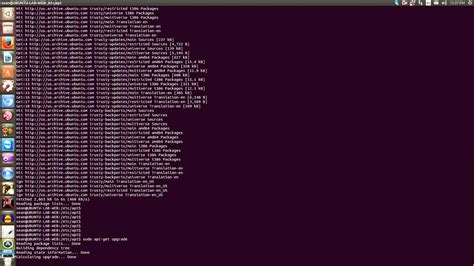 Updating Ubuntu Youtube