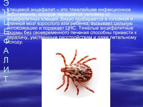 Клещевой энцефалит