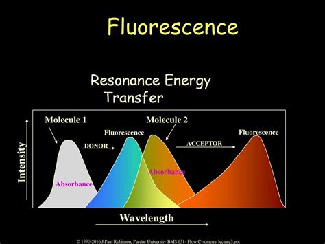 Bms Lecture 3 Light And Matter J Ppt Download