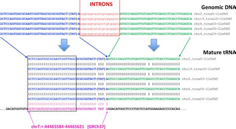 Example Rna Seq Blog