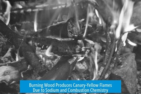 Why Is Dichloromethane Non Polar Key Insights On Its Polarity And Comparisons With Other