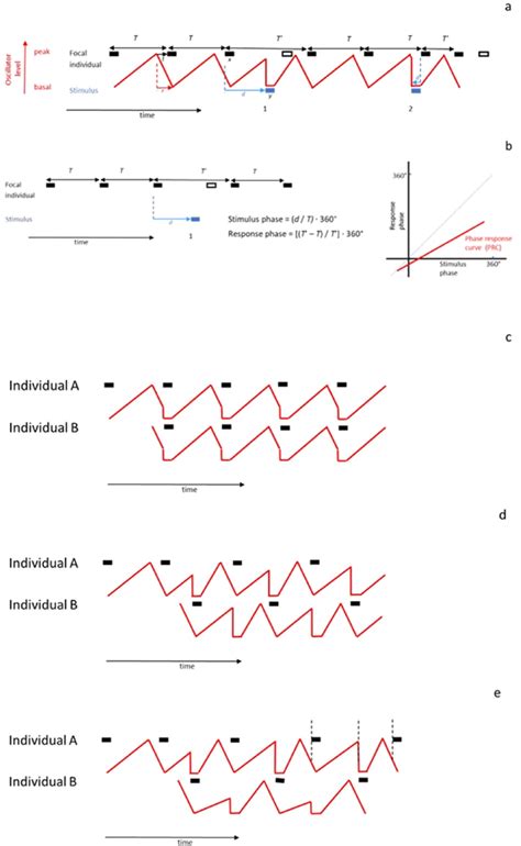Oscillators And Coupled Oscillators Alternation A Similar To Download Scientific Diagram