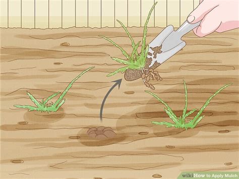 How To Apply Mulch Steps With Pictures WikiHow