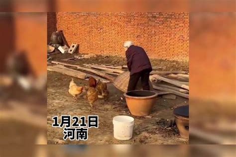 89岁奶奶给儿孙们抓鸡吃，设个圈套以静制动