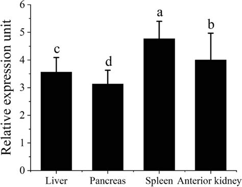 An Overview Of Lys C Gene Expression In Tissues Of A Persicus Matured Download Scientific Diagram