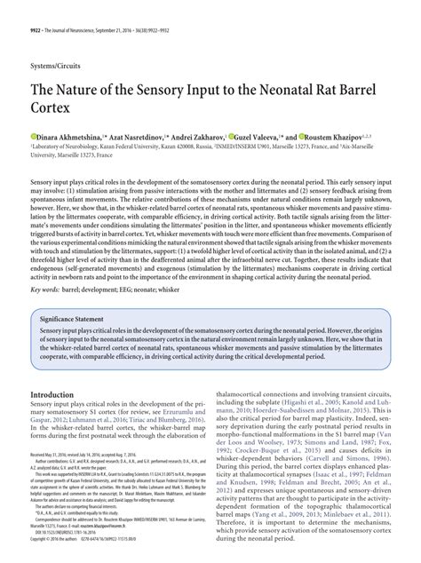 Pdf The Nature Of The Sensory Input To The Neonatal Rat Barrel Cortex