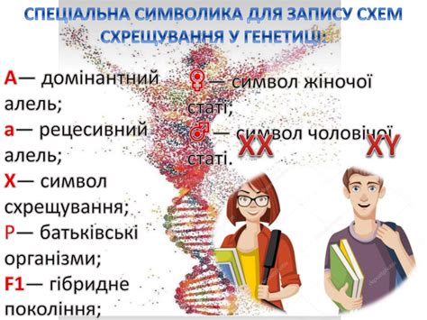 Презентація Практична робота № 3 Тема Складання схем схрещування 9 клас