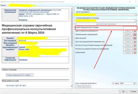 СЭМД «Медицинская справка врачебное профессионально консультативное заключение РМИС НАО