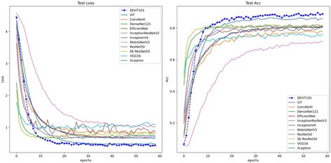 Comparison Of Test Set Loss Left And Test Set Accuracy Right Of