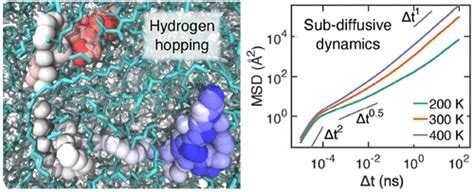 Subdiffusive High Pressure Hydrogen Gas Dynamics In Elastomers Macromolecules