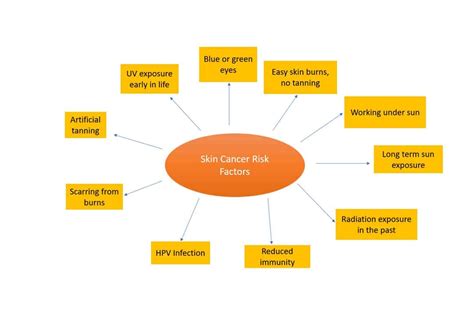 Skin Cancer Risk In Aus And Nz Stats And Facts