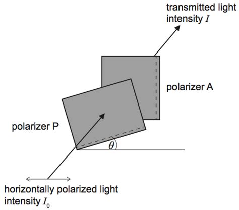 IB DP Physics Unit Wave Characteristics IB Style Question Bank SL Paper