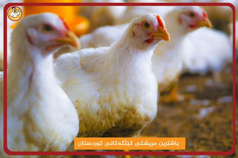 Katya Detkam Цена 4⃣4⃣0⃣ грн Пупсы это не просто обычные игрушки для девочек как например