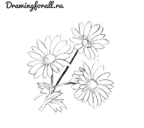 Как нарисовать цветок