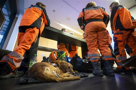 ФОТО По земјотресите во Турција земјите од светот се мобилизираат за да помогнат во напорите
