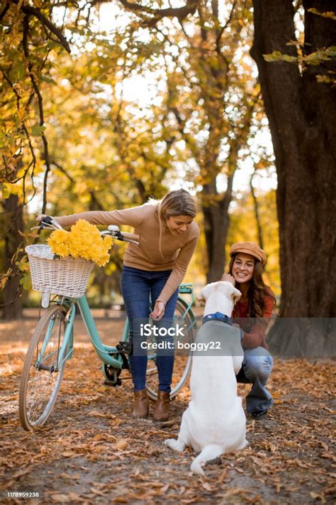 개와 자전거를 들고 노란 가을 공원을 걷고 있는 두 명의 여성 친구 가을에 대한 스톡 사진 및 기타 이미지 가을 감정 개 Istock