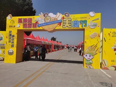从种子到餐桌 新乡延津小麦做出大文章 腾讯新闻