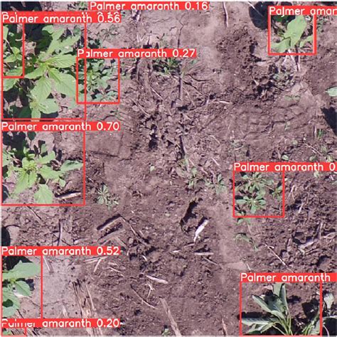 Detection Results For Yolov5 With A Confidence Interval Of 015 Download Scientific Diagram