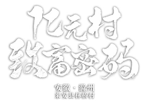 中国这十年百村安居图亿元村致富密码