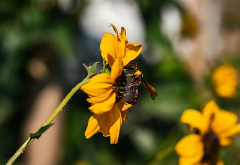 Linkedin Backgrounds Photos Download The Best Free Linkedin