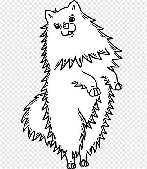 كلب صغير طويل الشعر ، حيوان أليف ، كلب ، حيوان ، طبيعة ، رسوم متحركة Png